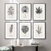 Leaves Poster Tablo Seti | fekarehome