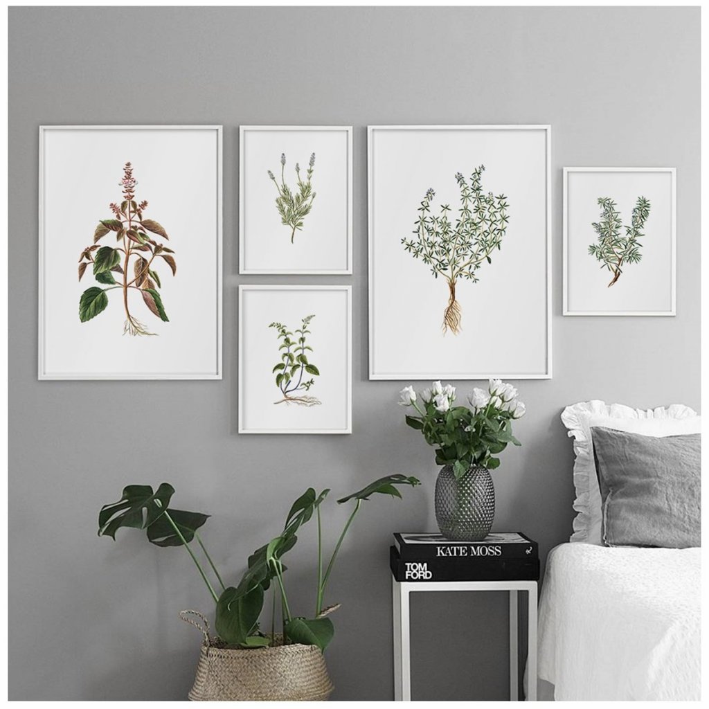 Botanik No:8 Poster Tablo Seti | fekarehome