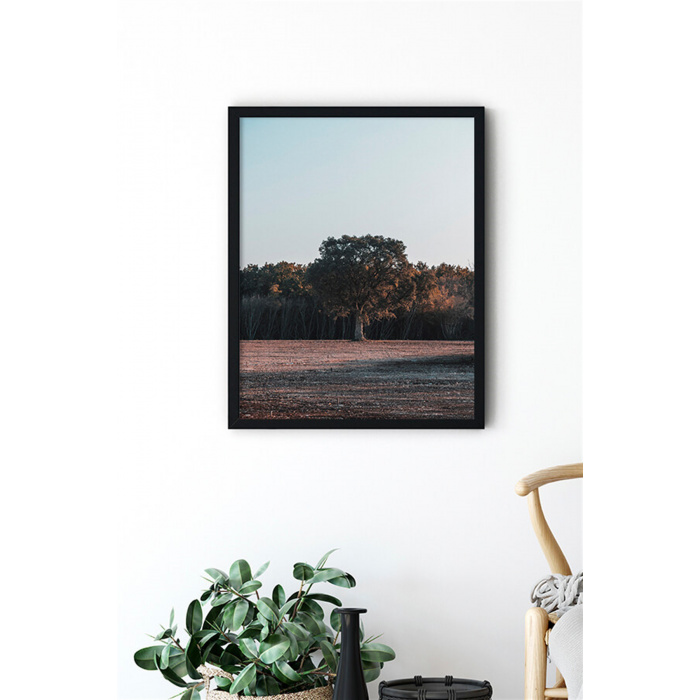 Steppe Poster Tablo Seti | fekarehome