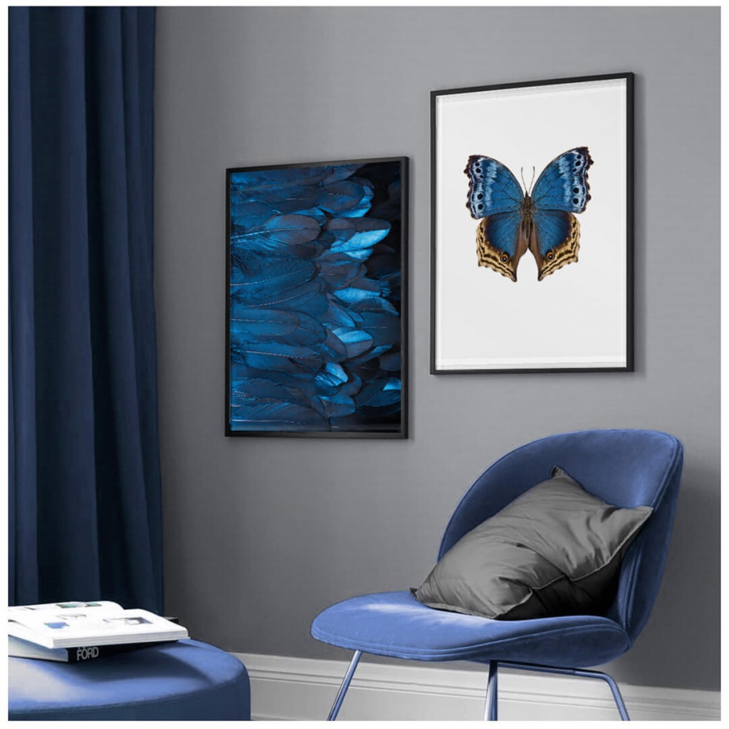Mavi Kelebek Poster Tablo Seti | fekarehome