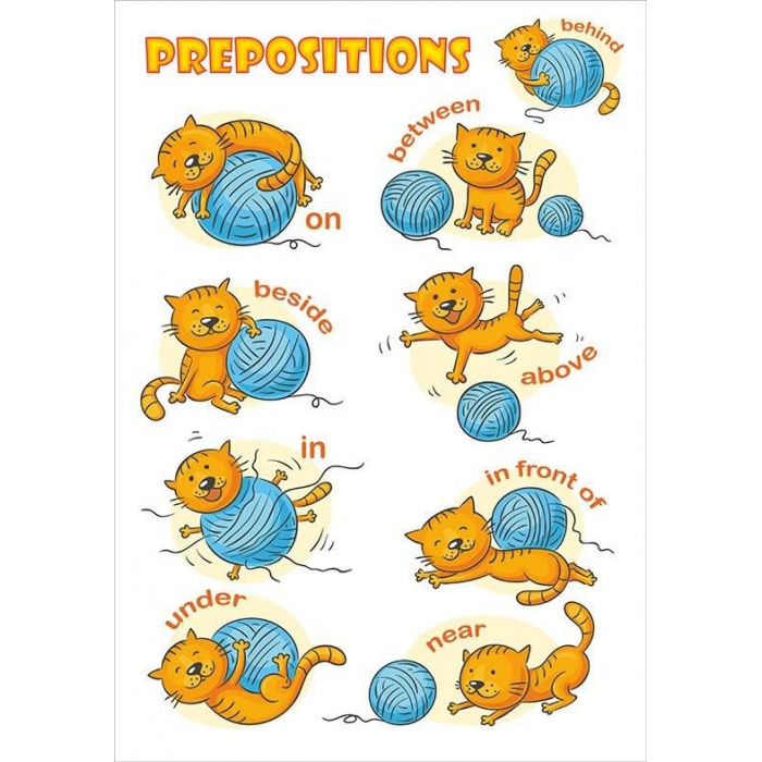 Preposition - Cat
