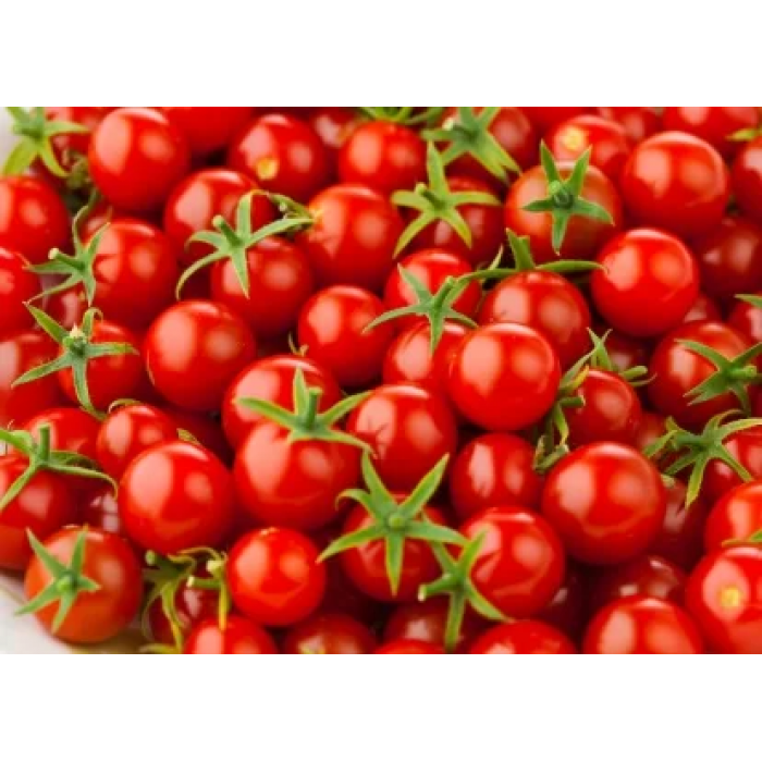 İnci F1 | Çeri Domates Fidesi Çeşitleri Starfide.com' da!