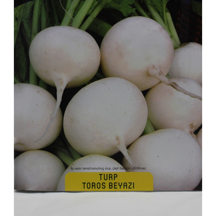 Beyaz Turp Tohumu 1 paket