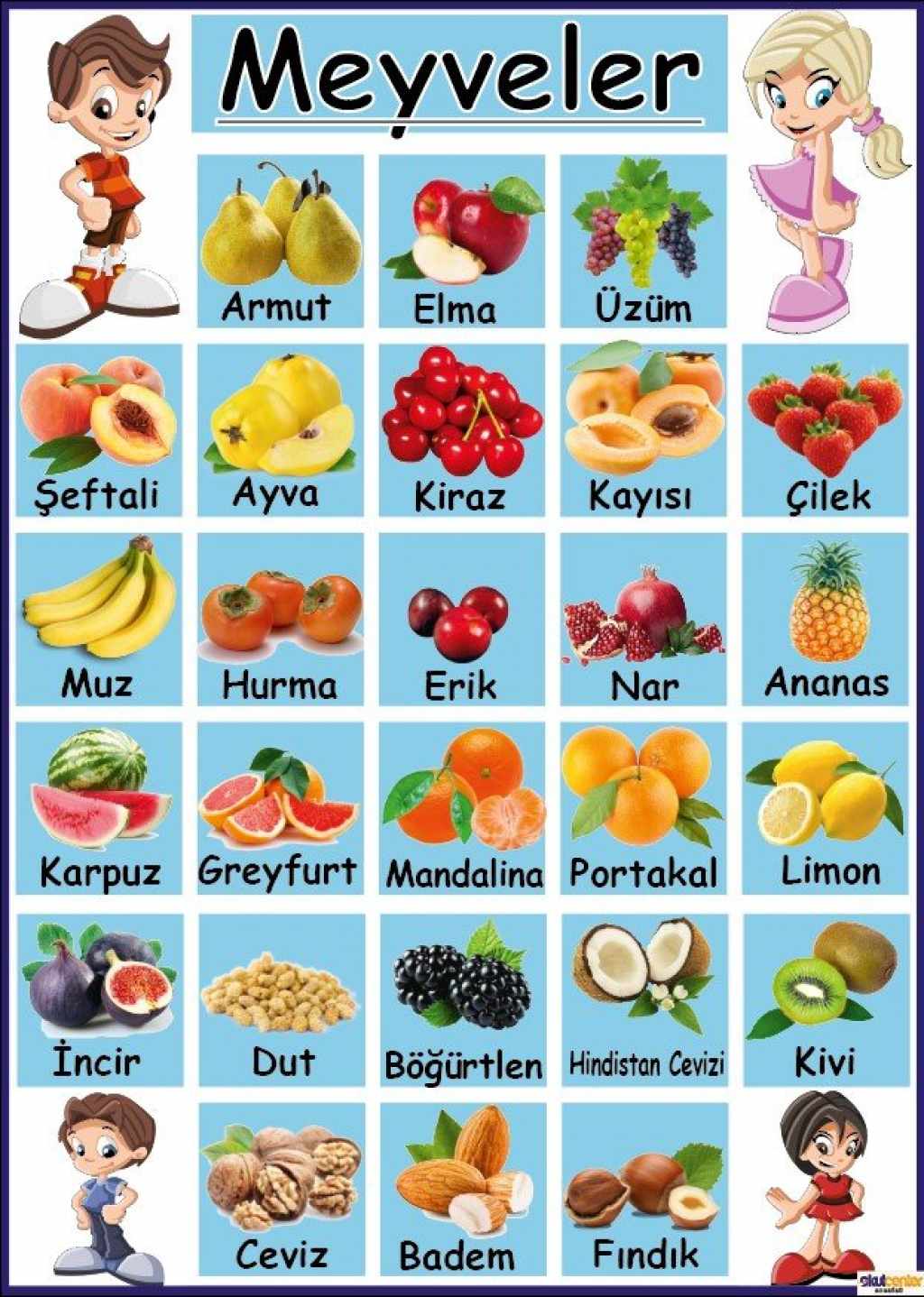 Meyveler Afişi | Okul Center İle Eğitime Renk Kat