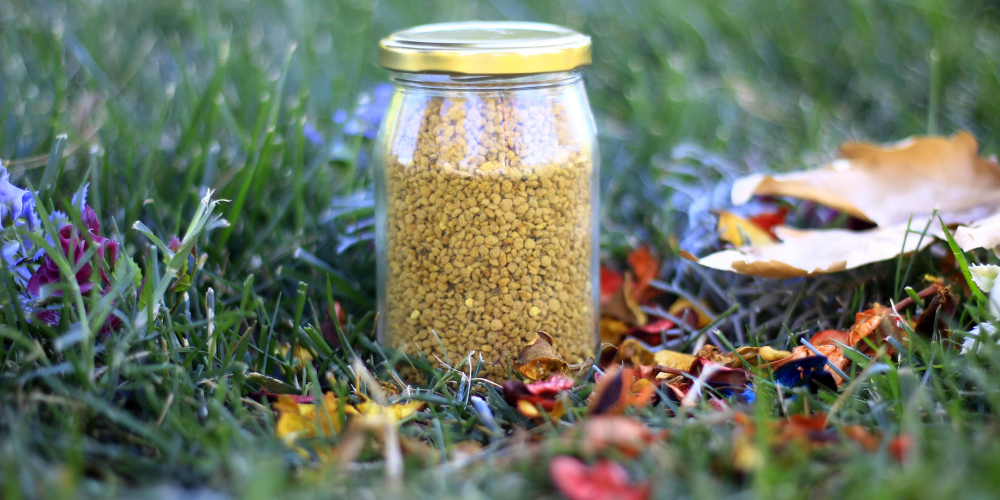 Arı Poleni Nedir Faydaları Nelerdir?-ŞENLİ BİNGÖL BAL