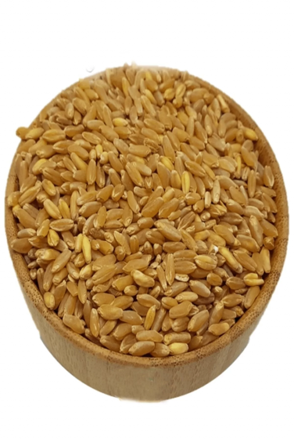 Tohumluk Bugday Sert Bugday 20 Kg