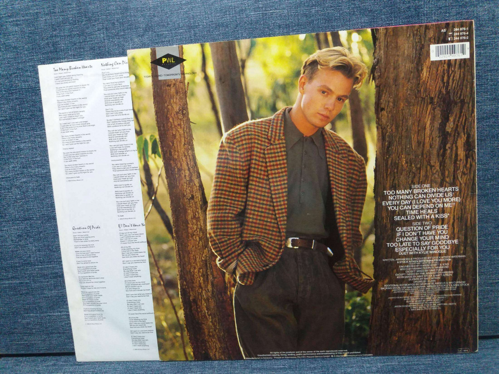 JASON DONOVAN TEN GOOD REASONS PLAK