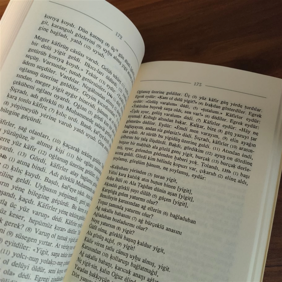 Dede Korkut Oğuznameleri - Semih Tezcan - Hendrik Boeschoten