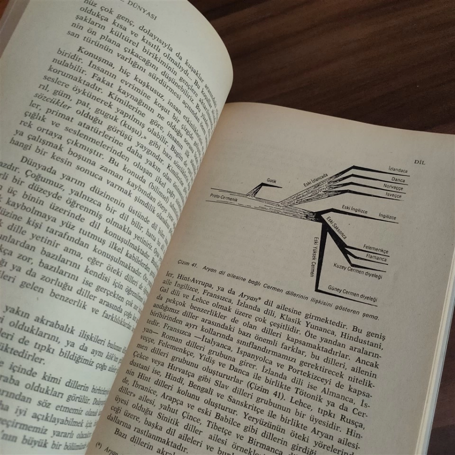 İnsan ve Dünyası: Sosyal Antropoloji Açısından - Calvin Wells