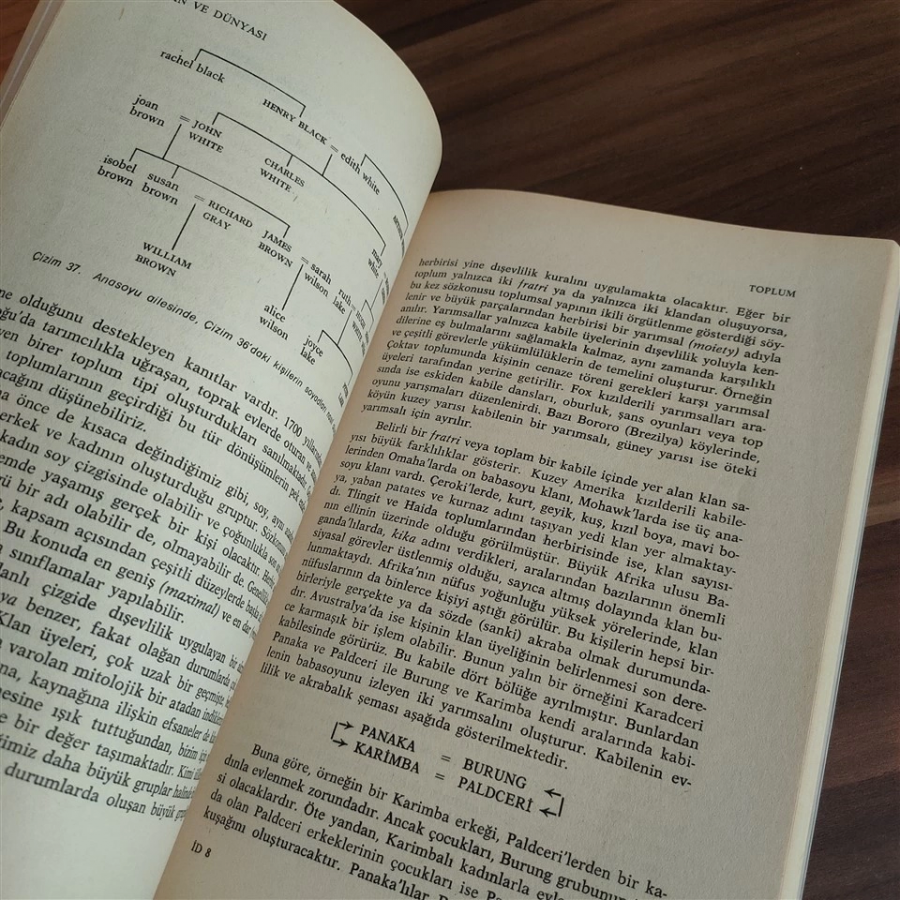 İnsan ve Dünyası: Sosyal Antropoloji Açısından - Calvin Wells