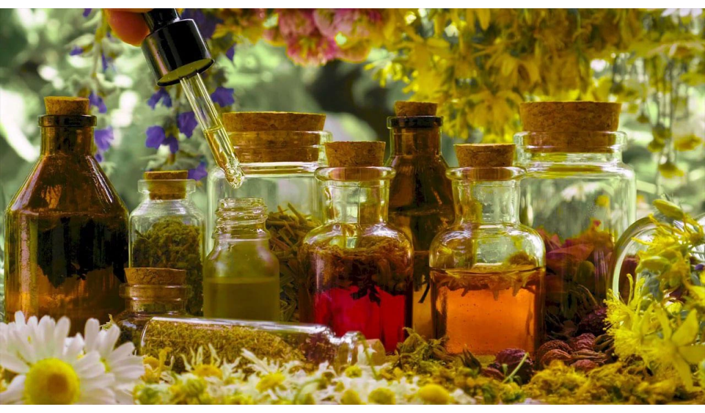 BİTKİSEL ÜRÜNLER